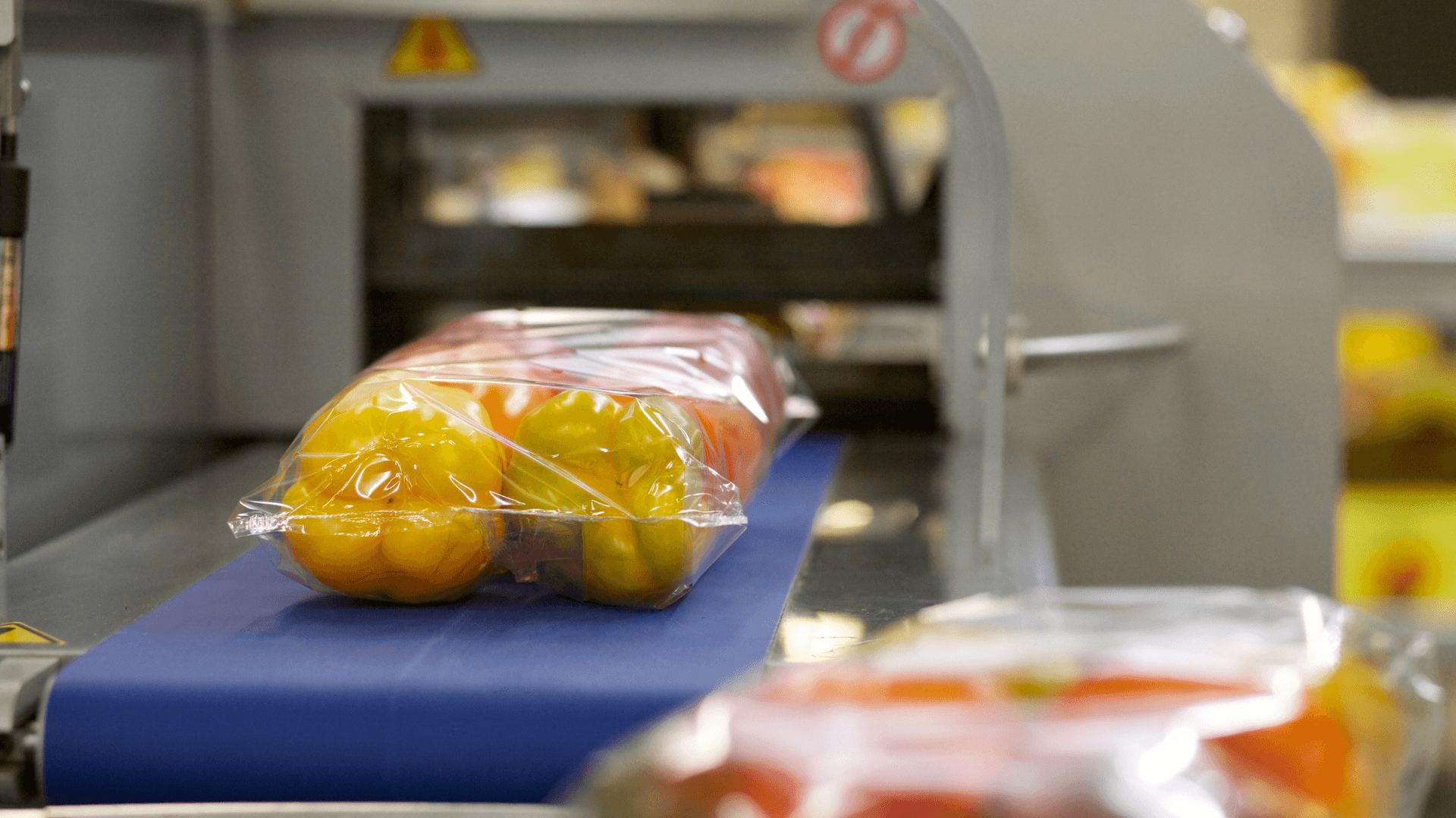Lineage | Navigating the Cold Chain's First Mile in a Race Against Time