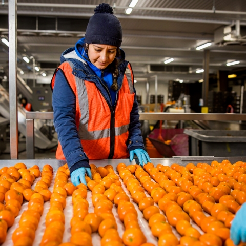 Lineage | Cold Chain 101