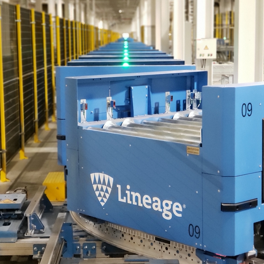 Lineage | Global Protein