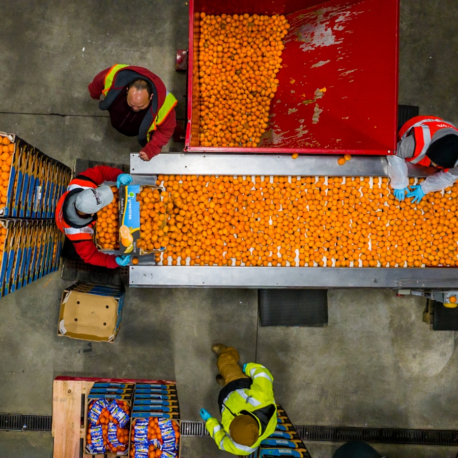 Lineage | Cold Chain 101